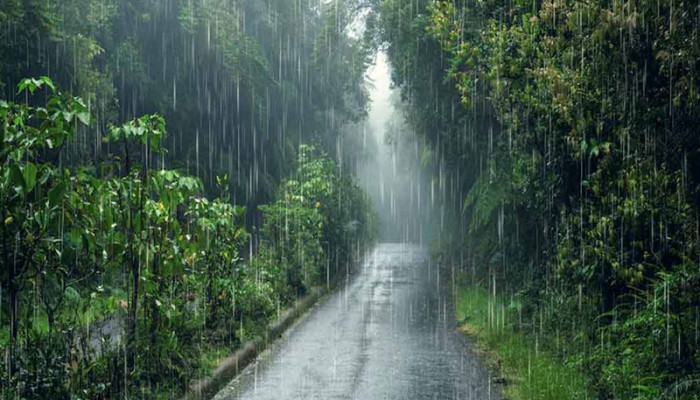 Arabian Sea monsoon to produce rainy spell from Tuesday to Sunday ...