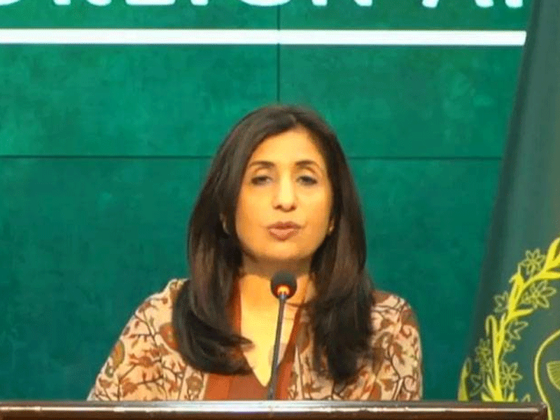 Pakistan vows to bring to justice perpetrators, abettors of Bisham ...