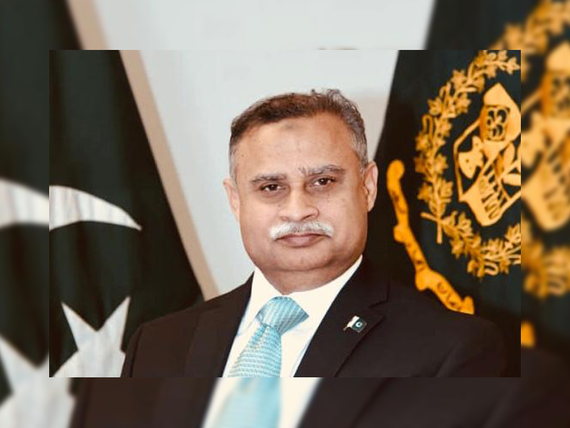 PNSC lawyer failed to defend removed chairman Rizwan Ahmed in SHC | Daily National Courier