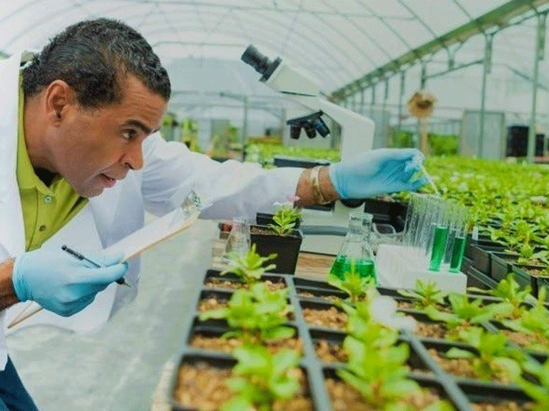 Biotechnology in Agriculture: Cultivating a Sustainable Future | Daily ...